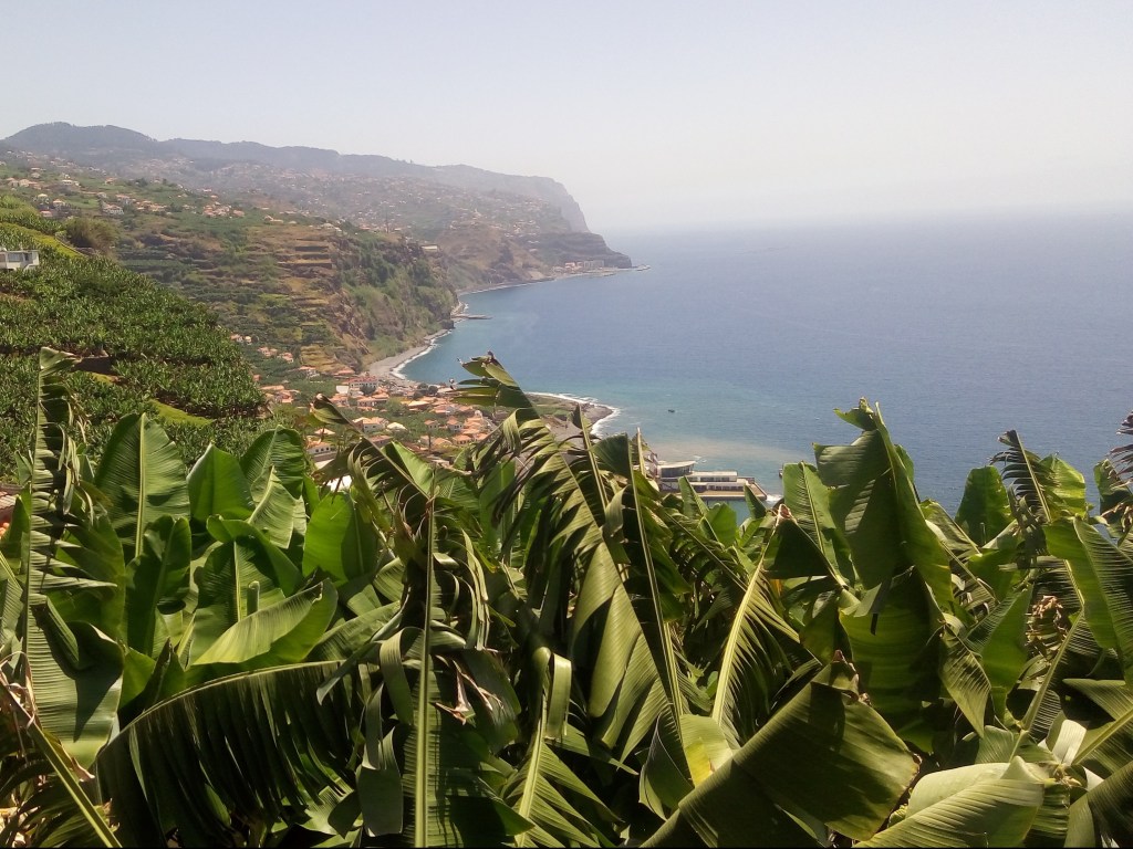 Banana Plantations – MADEIRA OFFICIAL TOURIST GUIDES