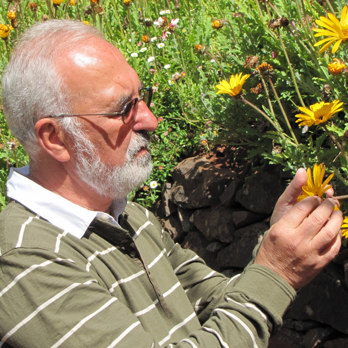 Raimundo Quintal – MADEIRA OFFICIAL TOURIST GUIDES